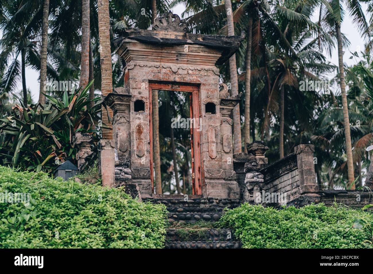 Stone temple gates in tropical jungle. Ancient ruins surrounded with ...