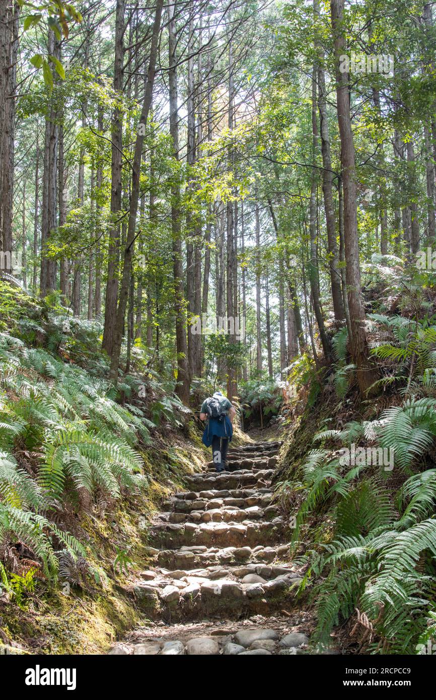 Vertical view of stone stairs steep upward incline on pilgrimage ...