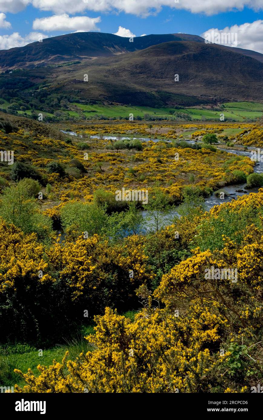 River caragh hi-res stock photography and images - Alamy