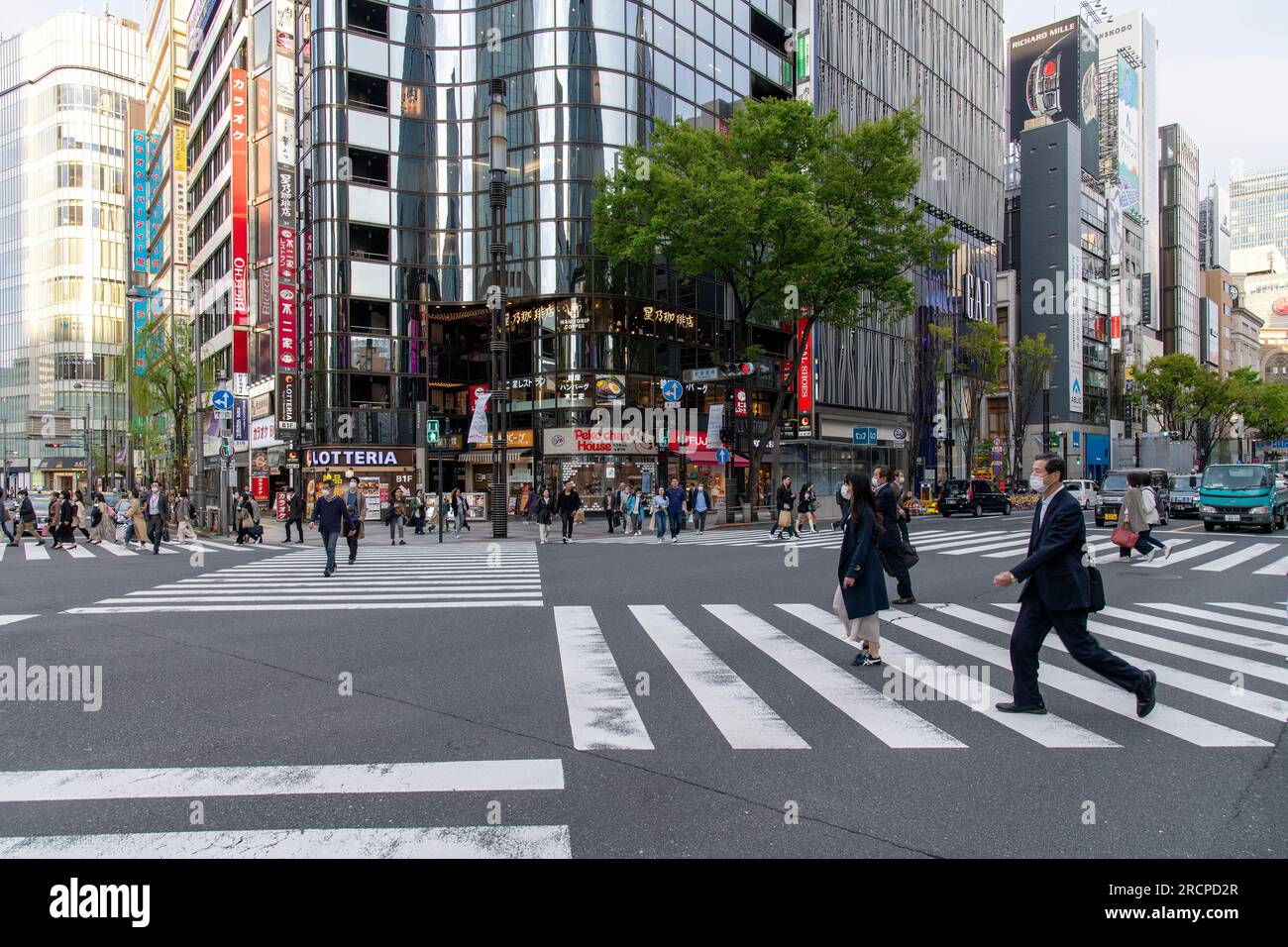 Tokyo, Japan-April 2023; Pedestrian crossing at one of the busy intersections in the Ginza ...