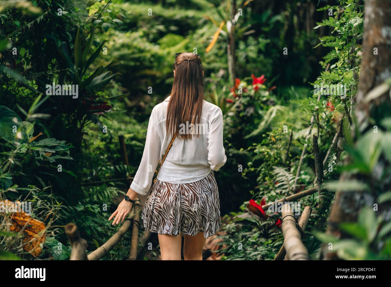 Back view of walking beautiful lady through jungle vegetation. Young ...
