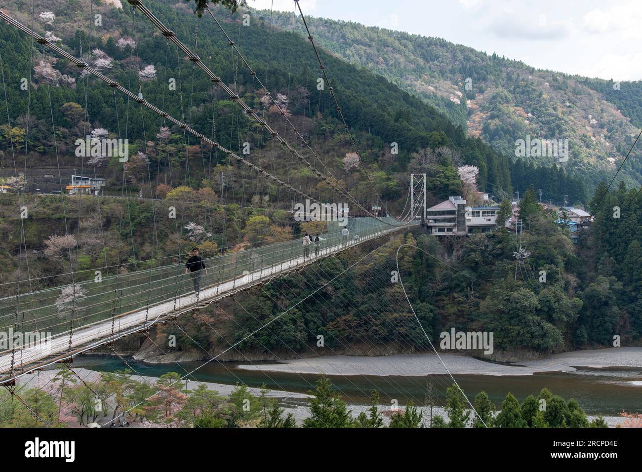 Totsukawa, Nara, Japan-3 April 2023; Side view of Tanize Suspension ...