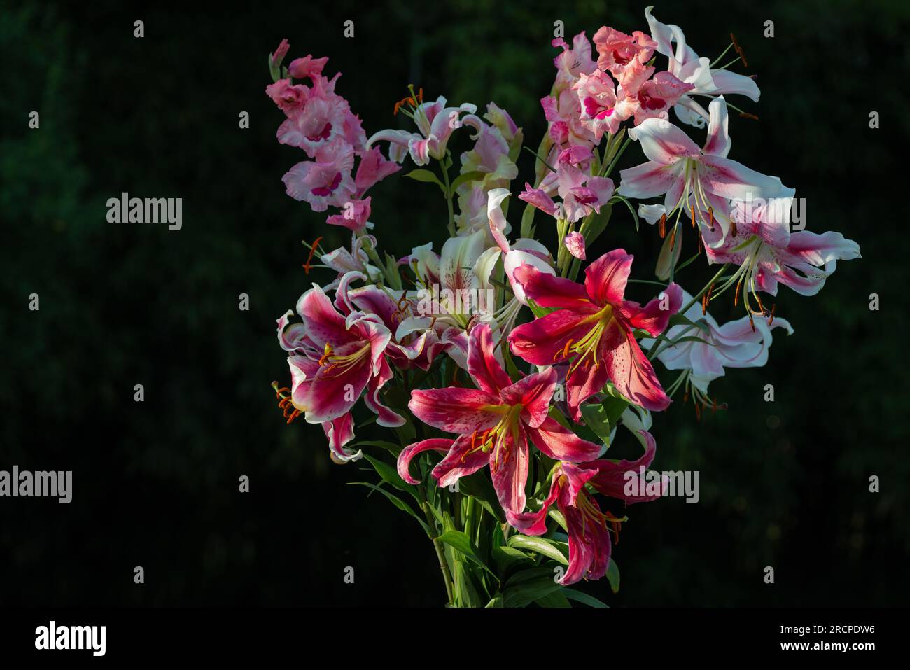 Bouquet de rose rouge hi-res stock photography and images - Alamy