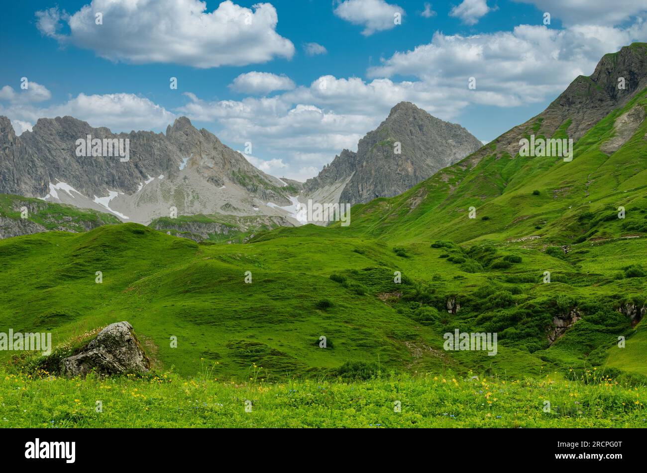 Scenic Austrian alps. Green meadow with fresh grass, sharp mountain ...