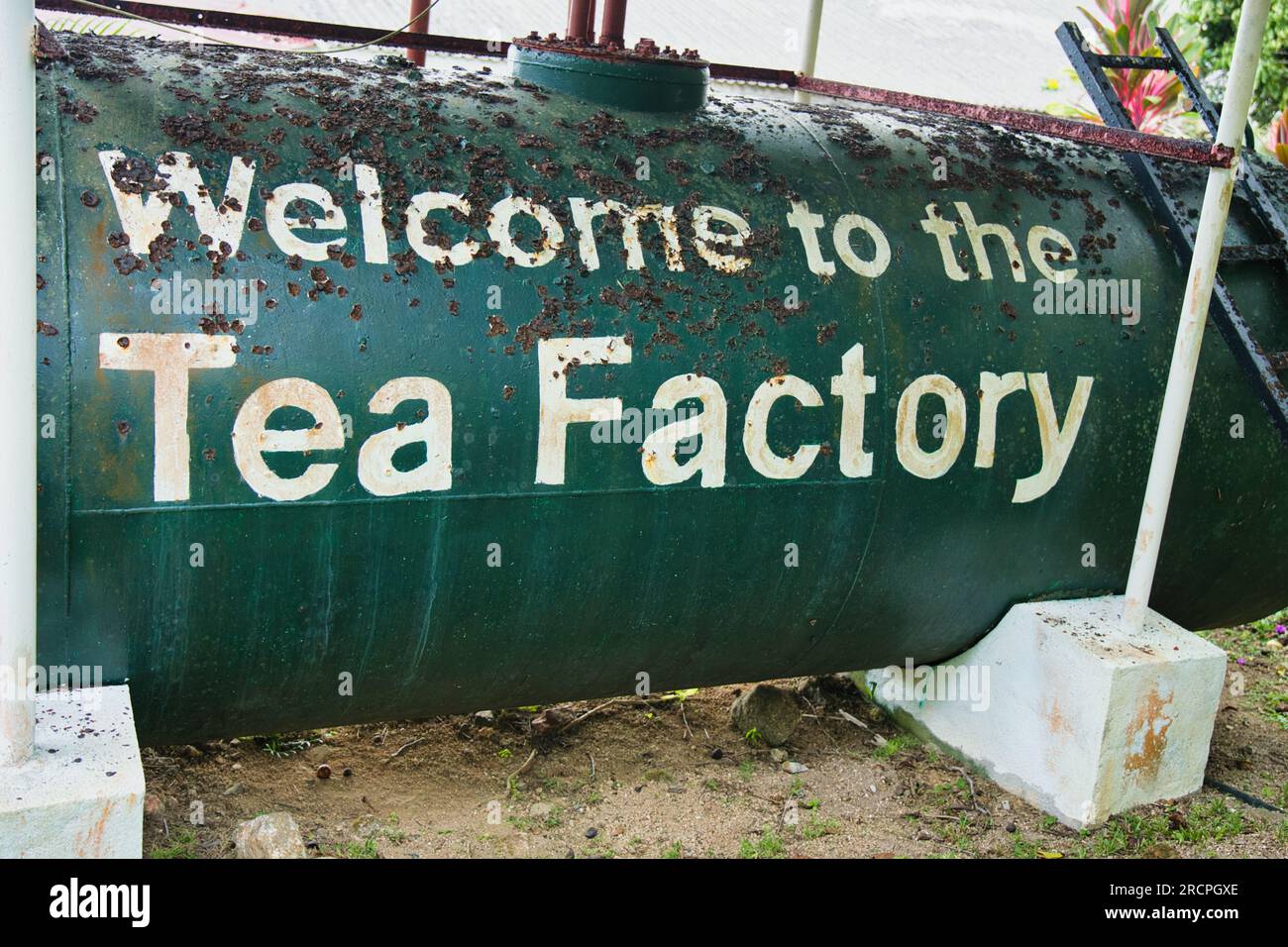 Indian tea garden hi-res stock photography and images - Alamy