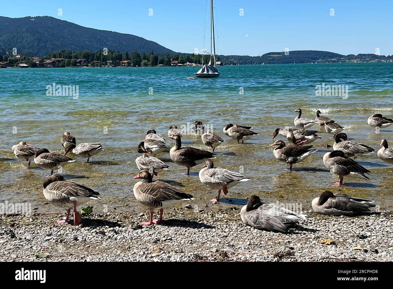 Rottach Egern, Deutschland. 15th July, 2023. Summer day 2023 (07/15 ...
