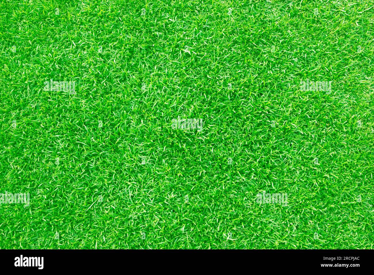grass background Golf Courses green lawn pattern textured background ...