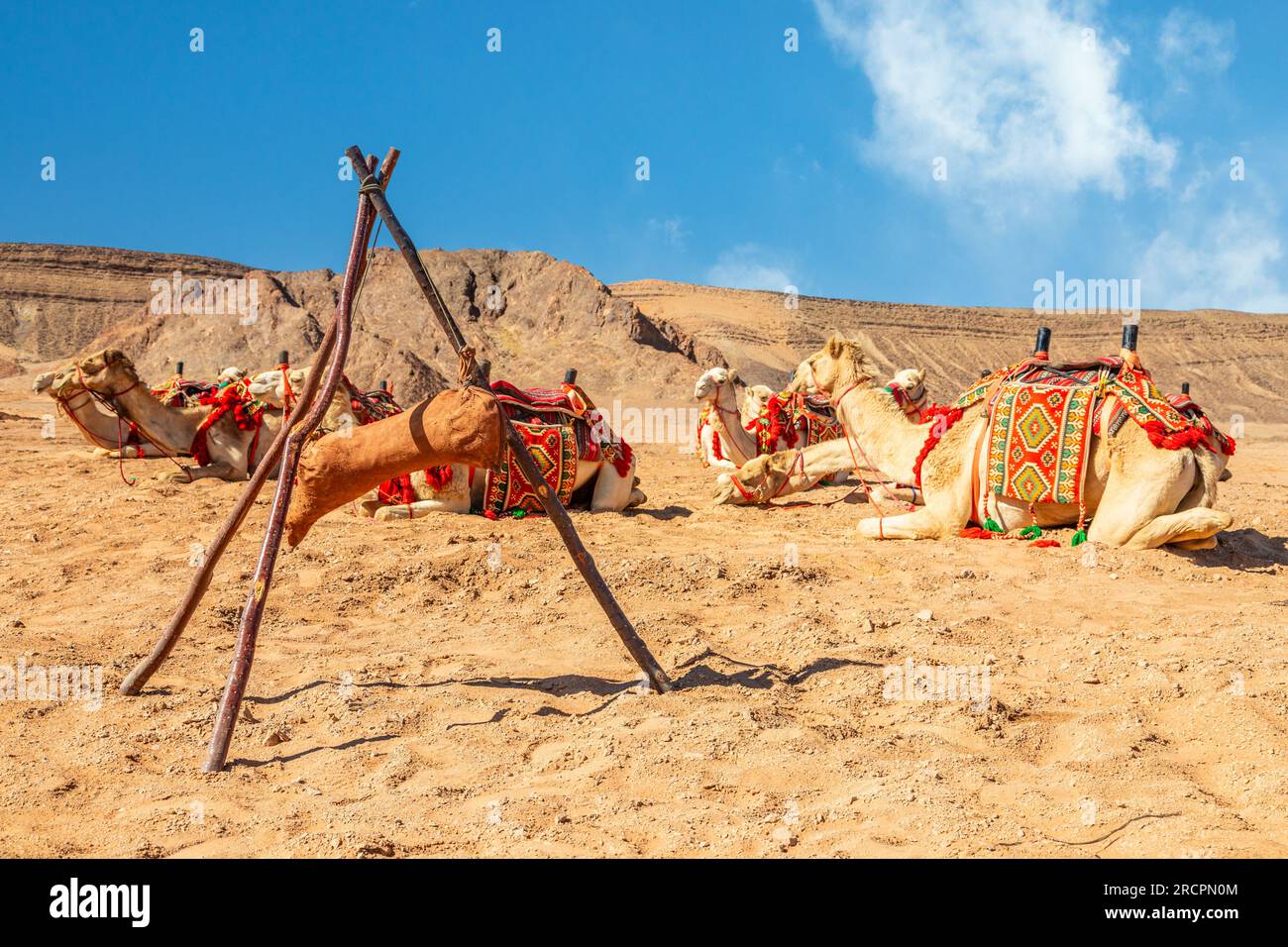 Bedouin camp saudi arabia hi-res stock photography and images - Alamy