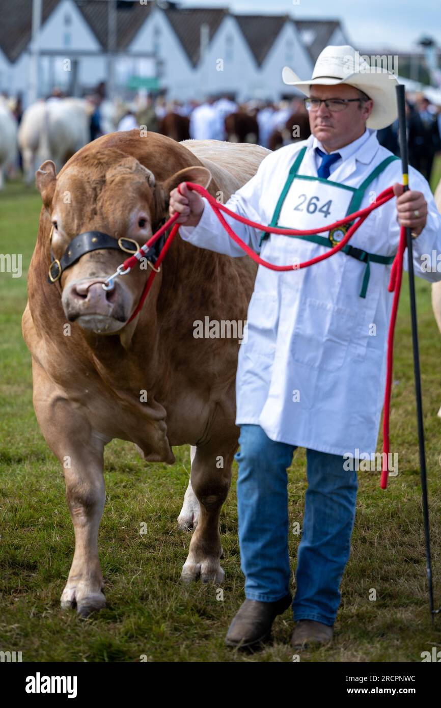 Great Yorkshire Show 2023 Stock Photo - Alamy