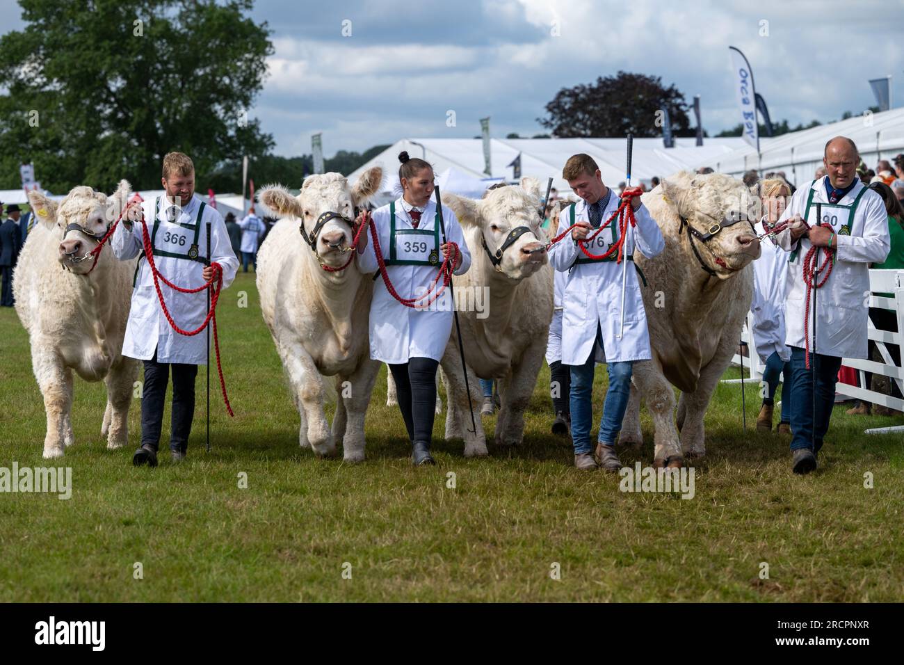 Great Yorkshire Show 2023 Stock Photo - Alamy