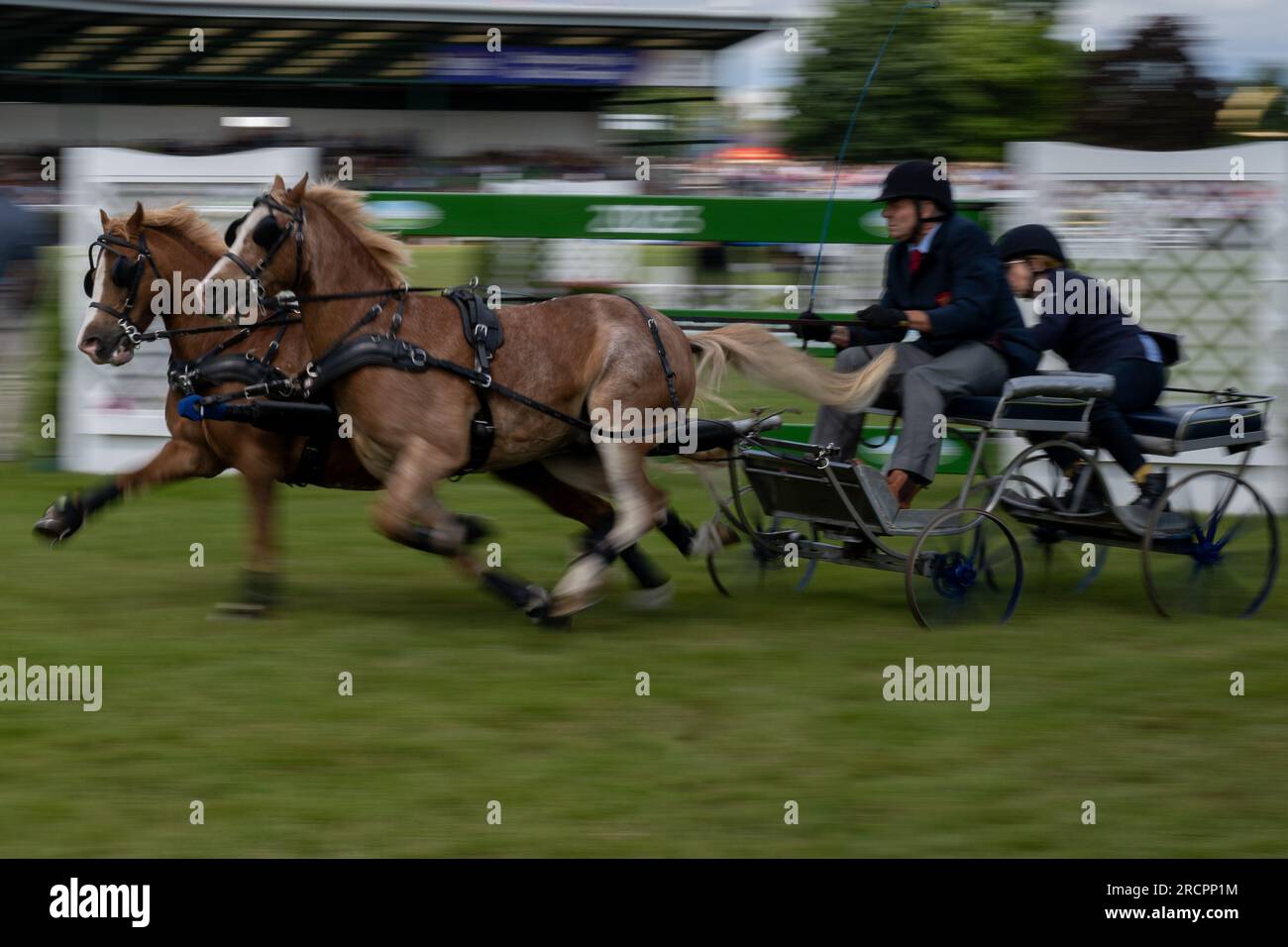 Great Yorkshire Show 2023 Stock Photo - Alamy