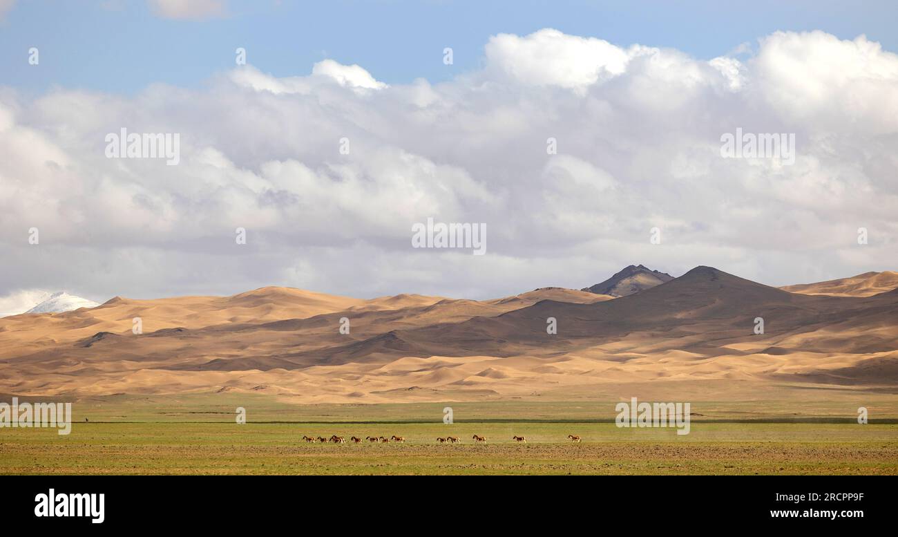 Altun Mountains. 30th June, 2023. This photo taken on June 30, 2023 ...