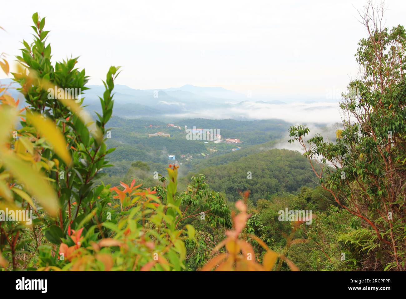 Betong yala thailand hi-res stock photography and images - Alamy