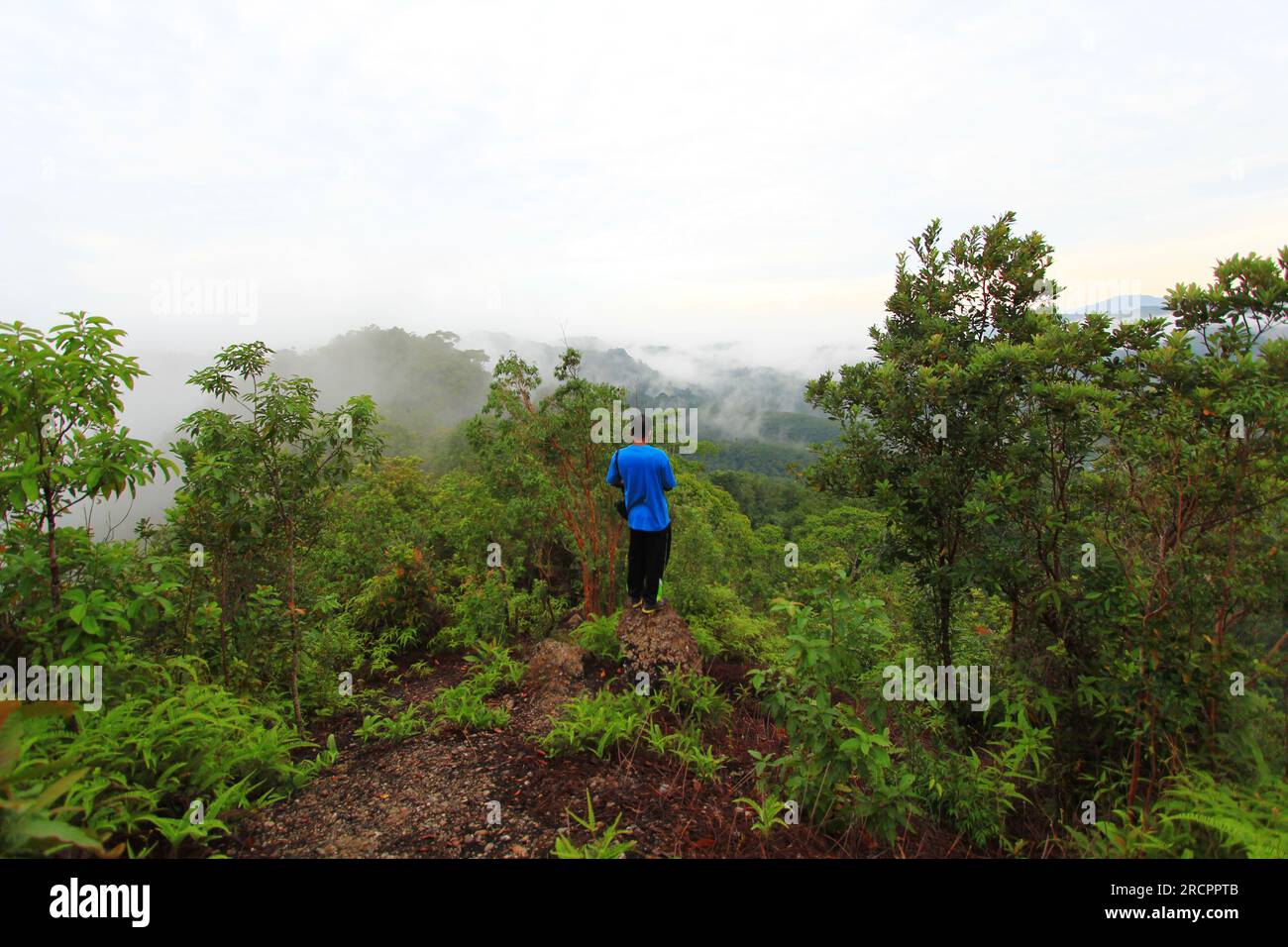 Looking into the mist hi-res stock photography and images - Alamy