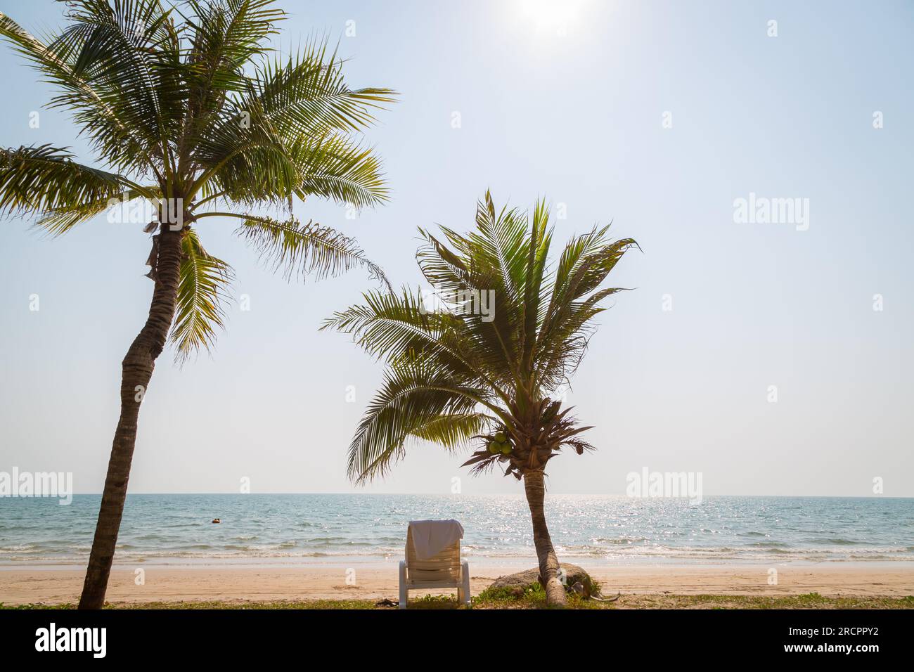 Beach chair at sunny coast with coconut tree at the beach background ...