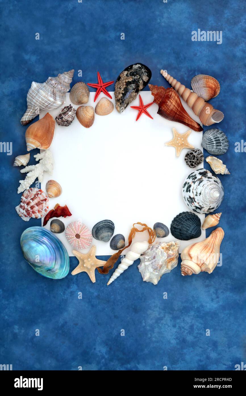 Sea shell abstract background border on rustic mottled blue background ...