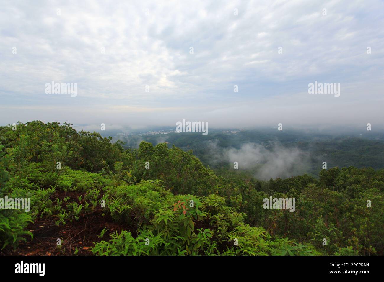 Betong yala thailand hi-res stock photography and images - Alamy