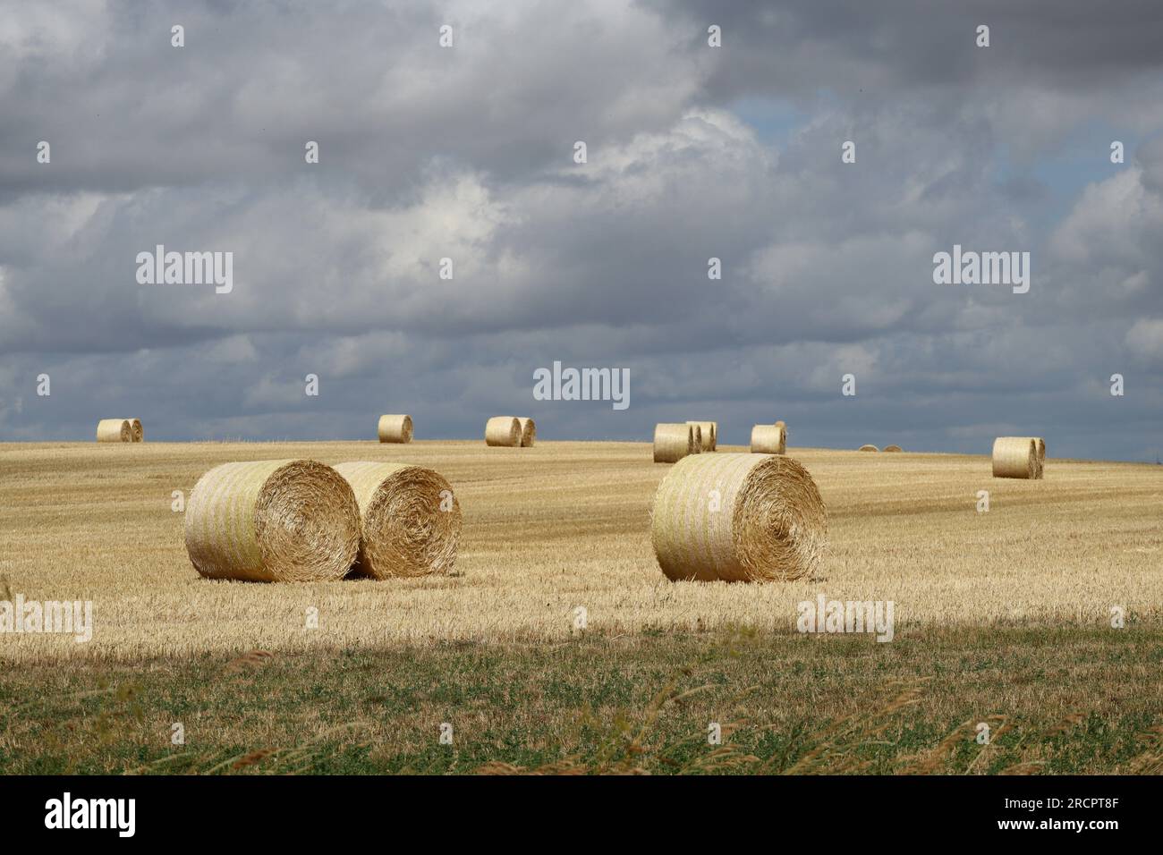Pressed straw in field hi-res stock photography and images - Alamy