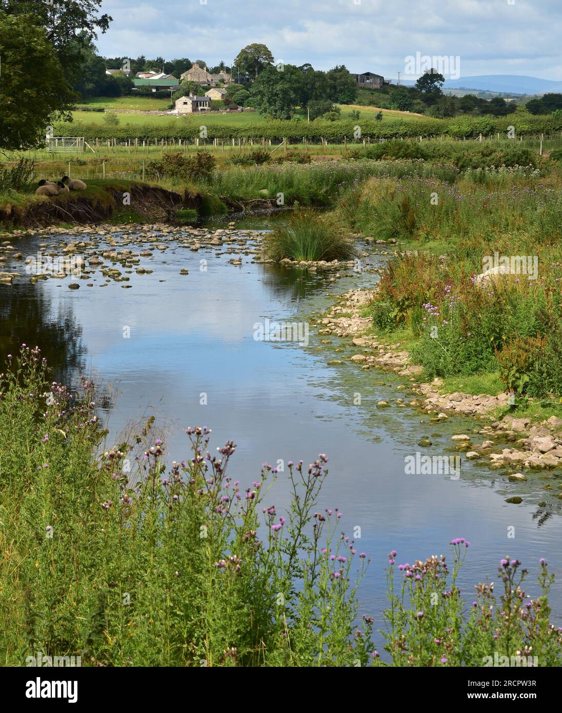 Great Musgrave and Swindale Beck,Eden Valley, Cumbria Stock Photo - Alamy