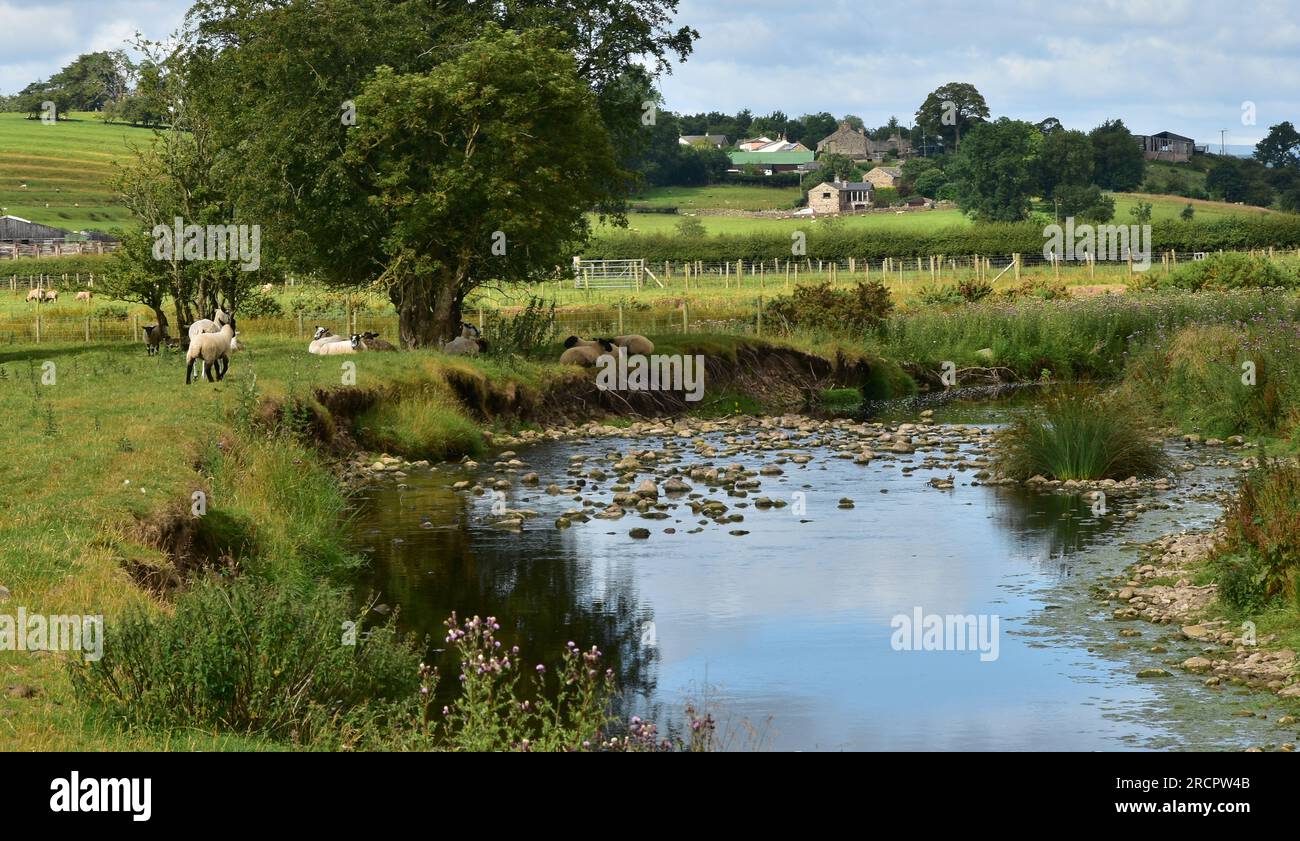 Great Musgrave and Swindale Beck,Eden Valley, Cumbria Stock Photo - Alamy