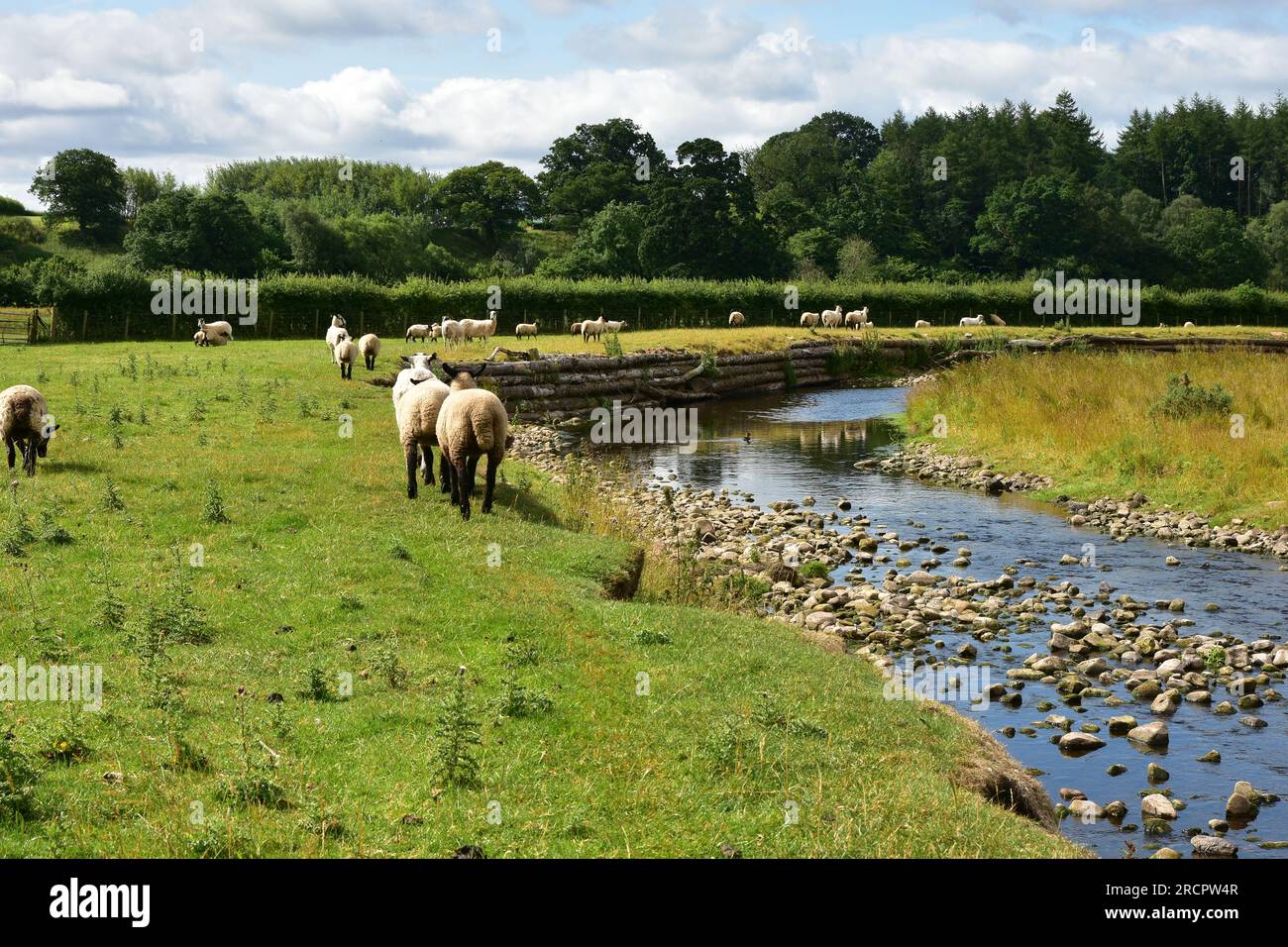 Musgrave cumbria hi-res stock photography and images - Alamy