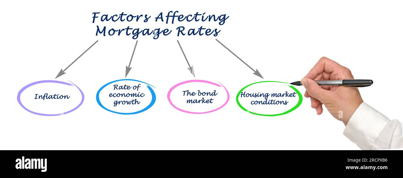 3639 Cut Out Stock Images & Pictures - Alamy