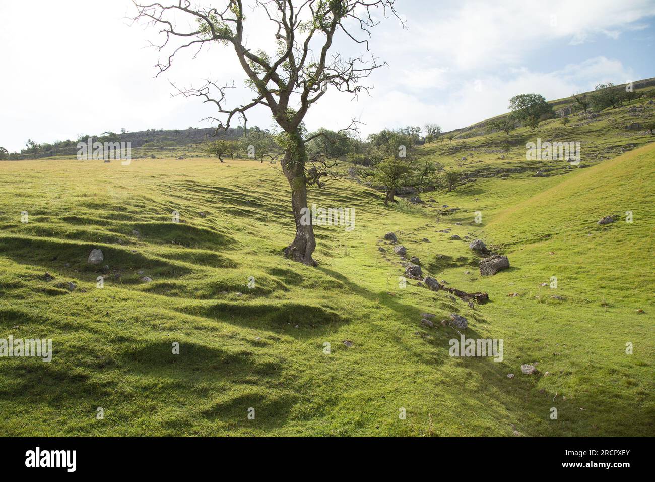 Raven Scar Ingleton Yorkshire Dales Stock Photo - Alamy