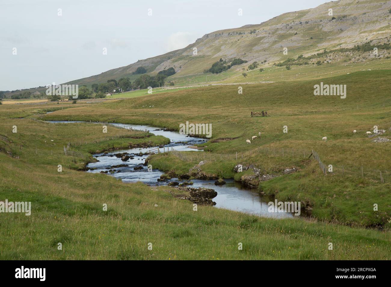 River Doe Twistleton Scar Ingleton Yorkshire Dales Stock Photo - Alamy
