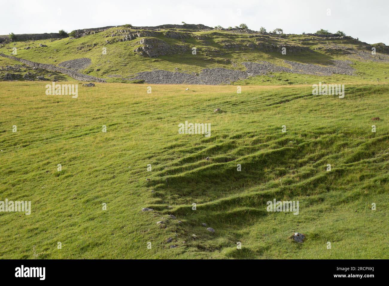 Raven Scar Ingleton Yorkshire Dales Stock Photo - Alamy