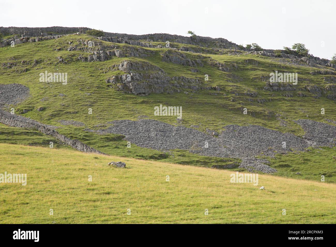 Raven Scar Ingleton Yorkshire Dales Stock Photo - Alamy
