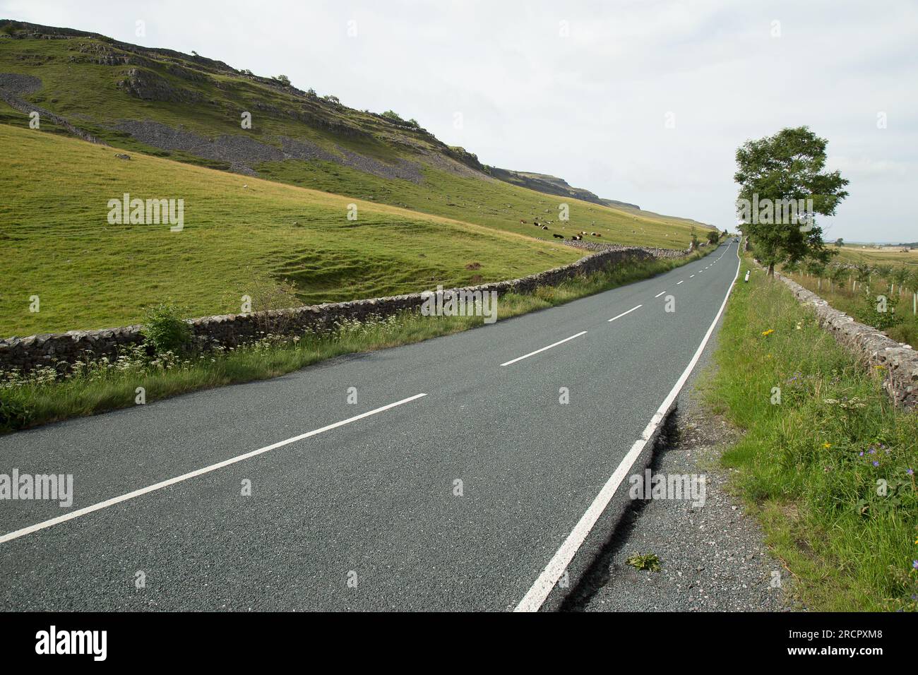 Raven Scar Ingleton Yorkshire Dales Stock Photo - Alamy