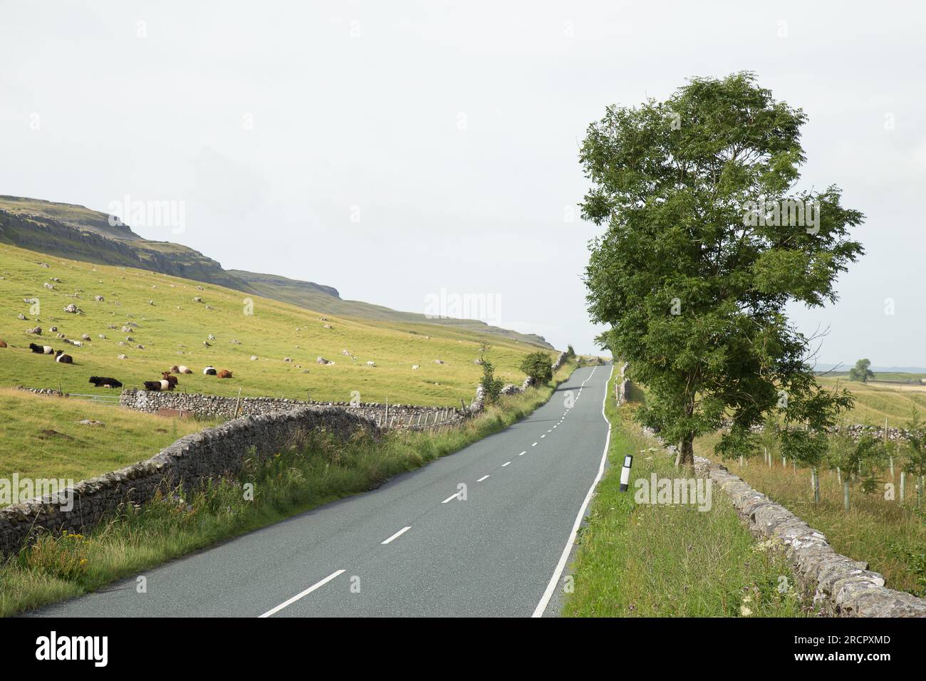 Raven Scar Ingleton Yorkshire Dales Stock Photo - Alamy