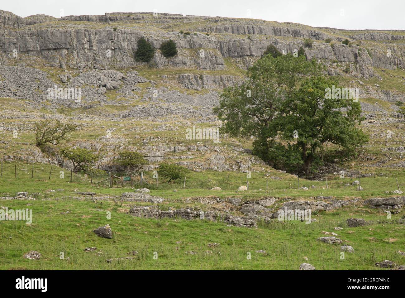 Raven Scar Ingleton Yorkshire Dales Stock Photo - Alamy