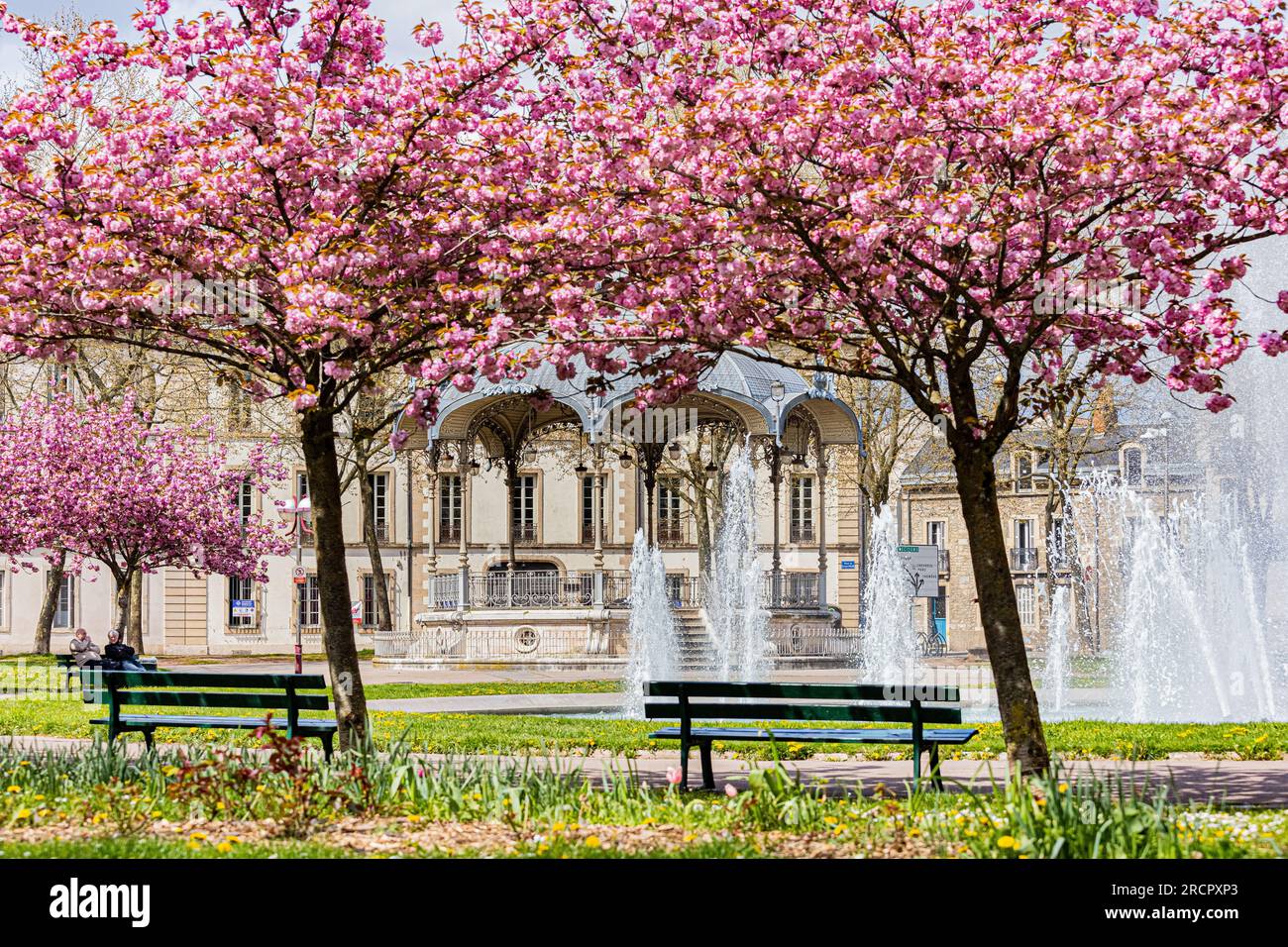 La place Wilson à Dijon aux couleurs du printemps et ses cerisiers ...