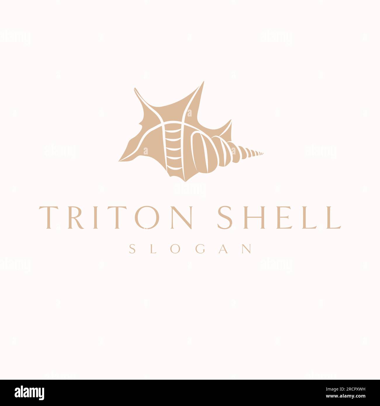 Triton shell background Stock Vector Images - Alamy
