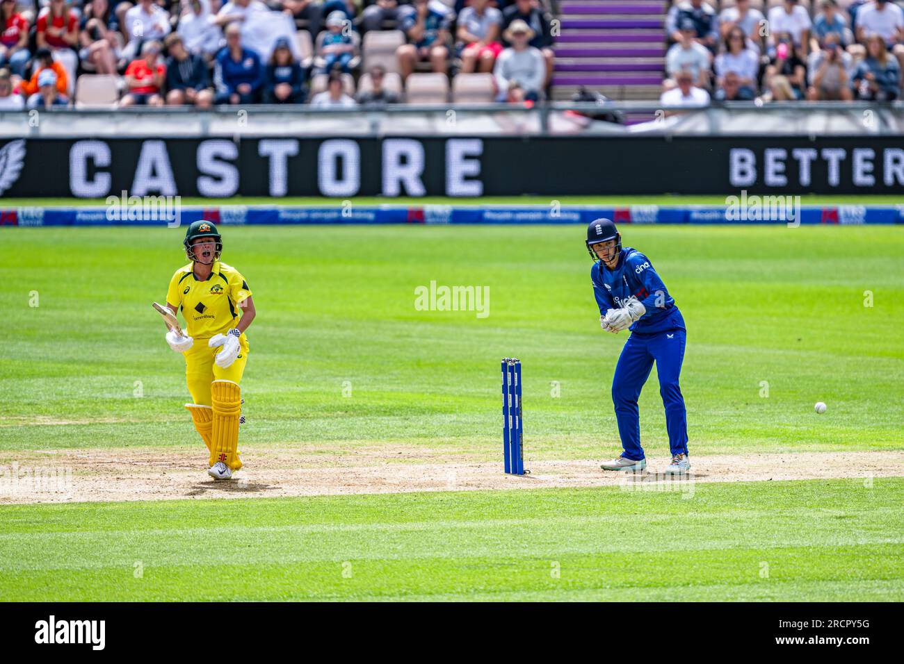 2023 ashes hi-res stock photography and images - Alamy