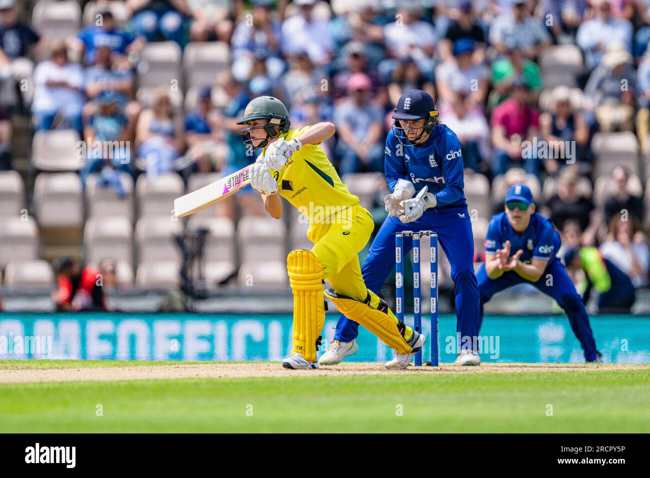 2023 ashes hi-res stock photography and images - Alamy