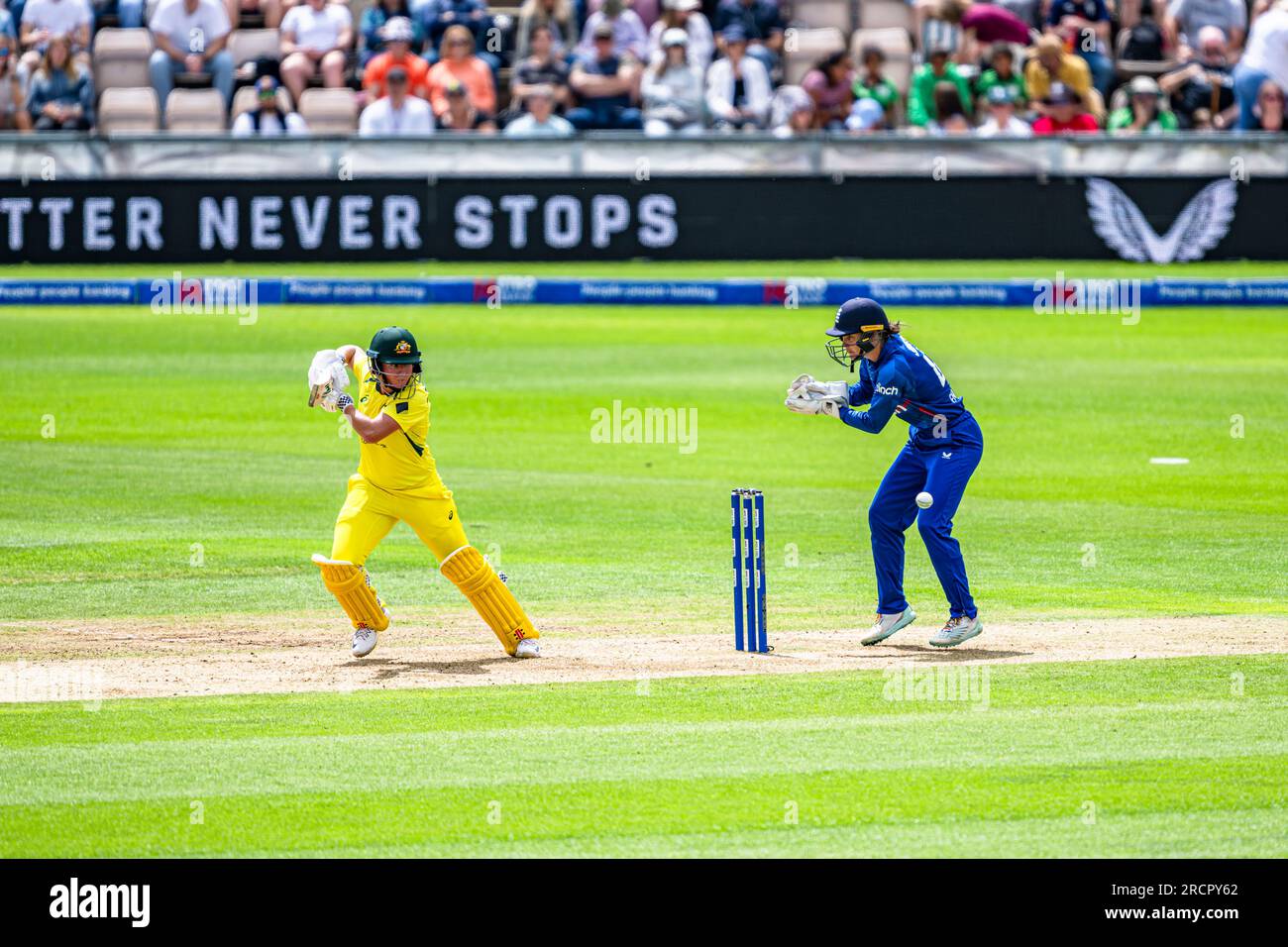 2023 ashes hi-res stock photography and images - Alamy