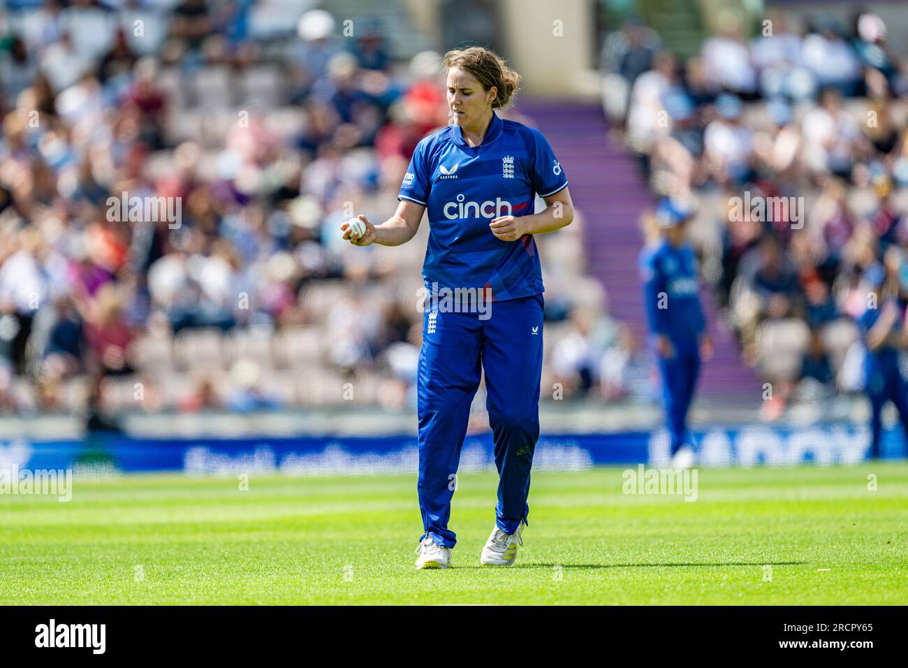 2023 ashes hi-res stock photography and images - Alamy
