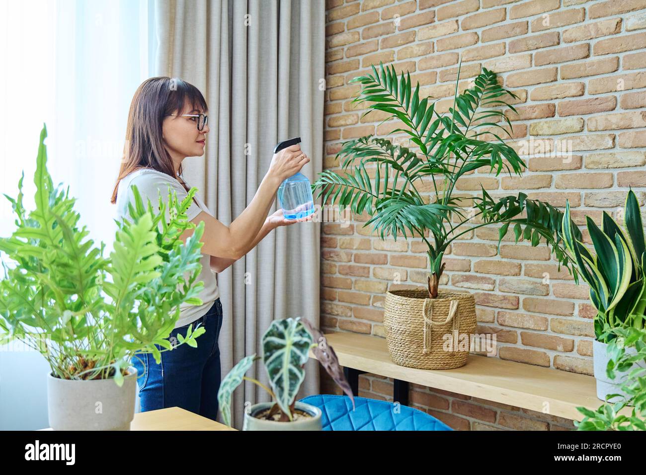 Woman spraying indoor plants at home using spray bottle with fertilized ...