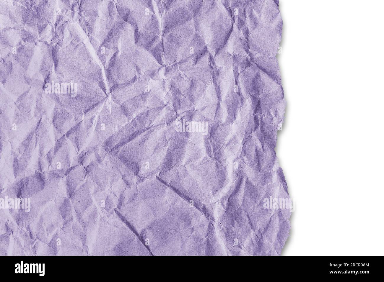 Purple Paper Texture