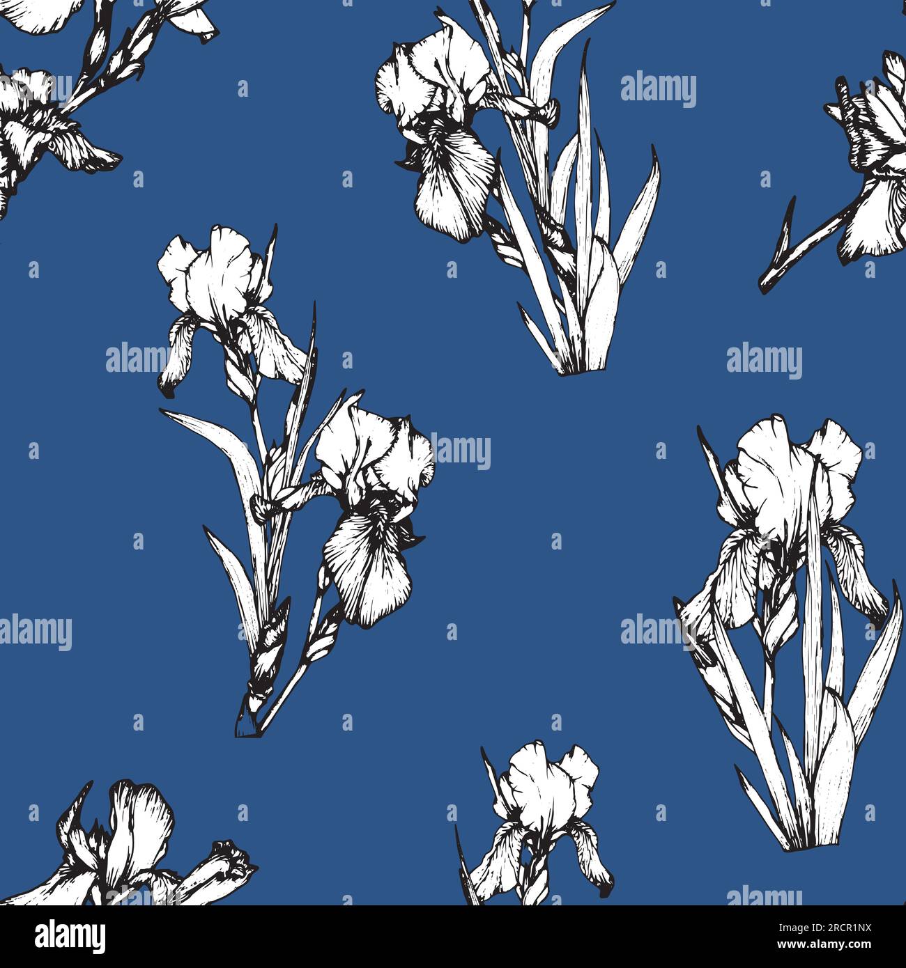 Botanical line flower Iris vector illustration. Hand drawn irises ...