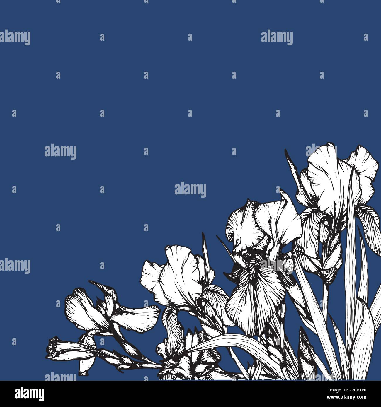 Black iris flower art Stock Vector Images - Alamy