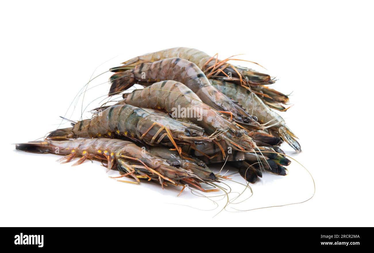 raw lobsters isolated on white background Stock Photo - Alamy