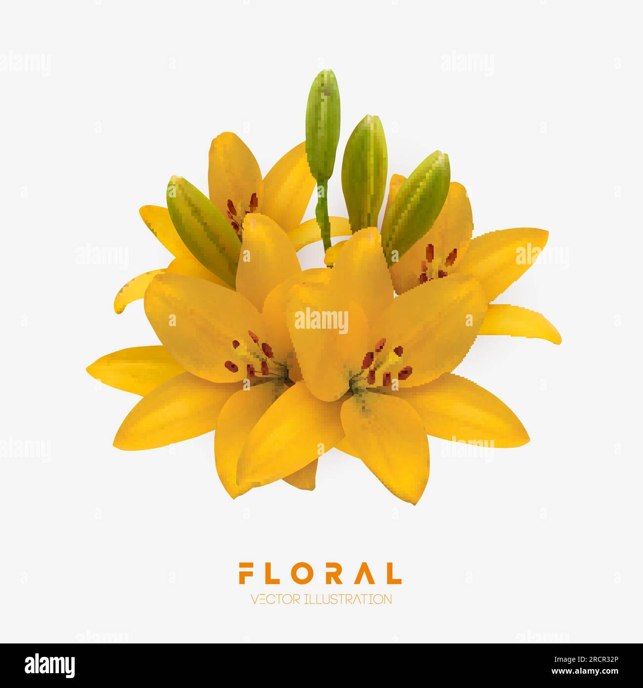 Yellow lilies on black Stock Vector Images - Alamy