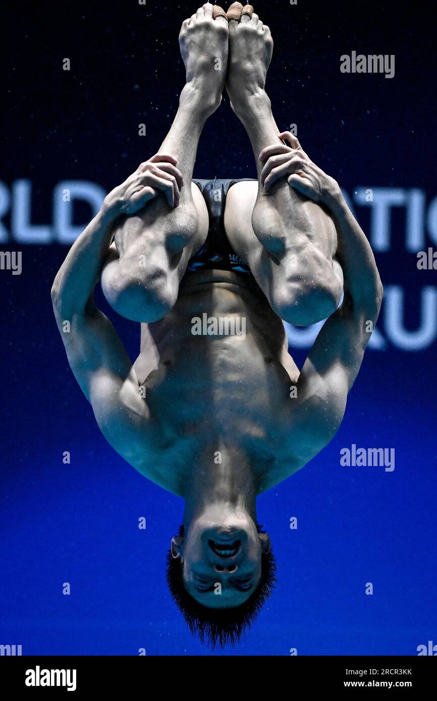 1m springboard men final hi-res stock photography and images - Alamy