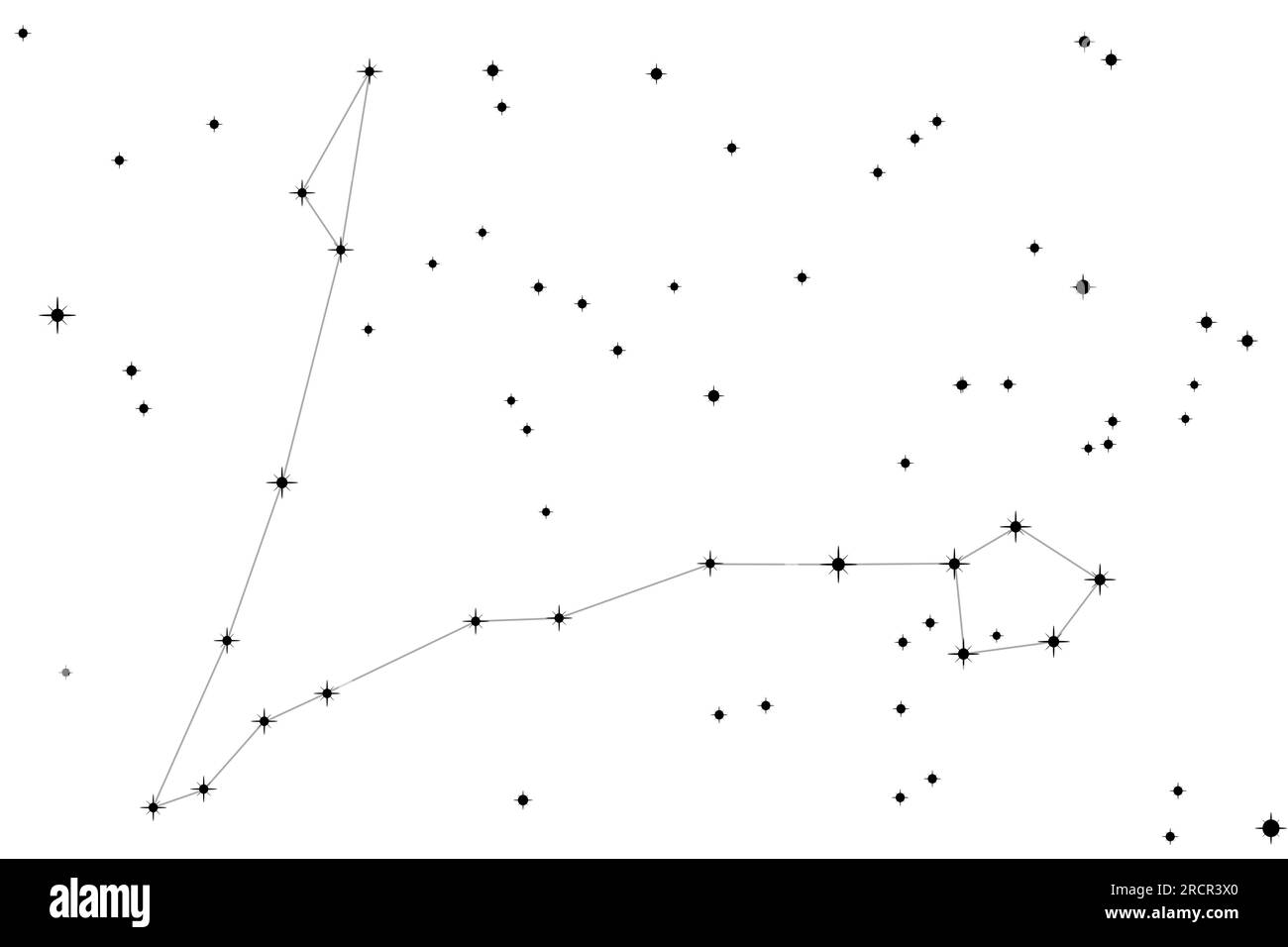 Pisces Constellation Drawing