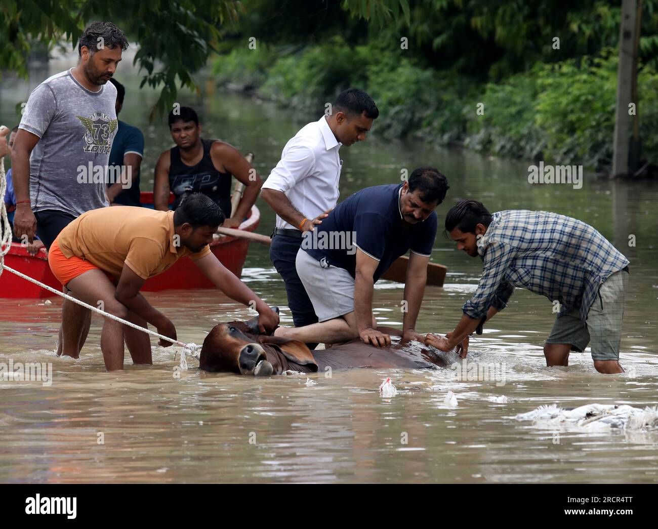National disaster response force team hi-res stock photography and images - Alamy