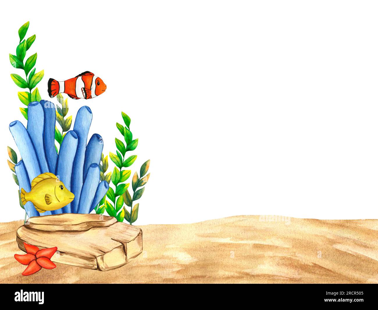 Watercolor stones, starfish, cartoon clown fish, cute yellow tang fish ...