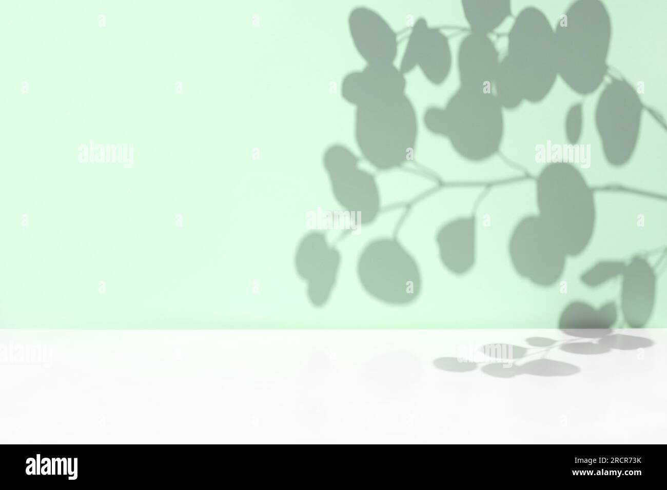 Plant shadows on neutral color wall. Leaves shadow background. Branches ...